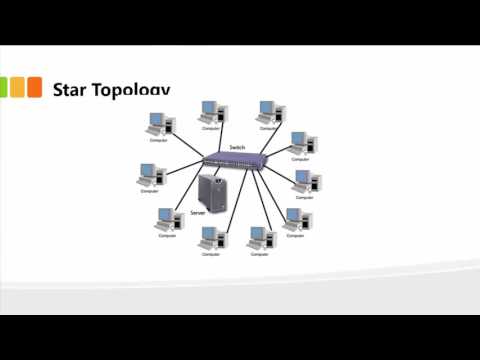 Understanding Network Topologies