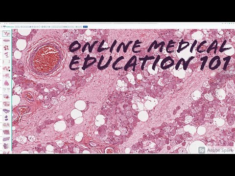 Online Medical Education 101: How I Use Videos, Digital Pathology Slides, & Social Media to Teach