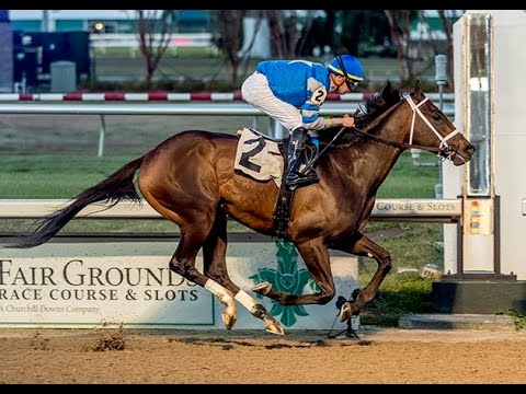 Thoroughbred Horse Racing Partnerships & Stables - West Point Thoroughbreds