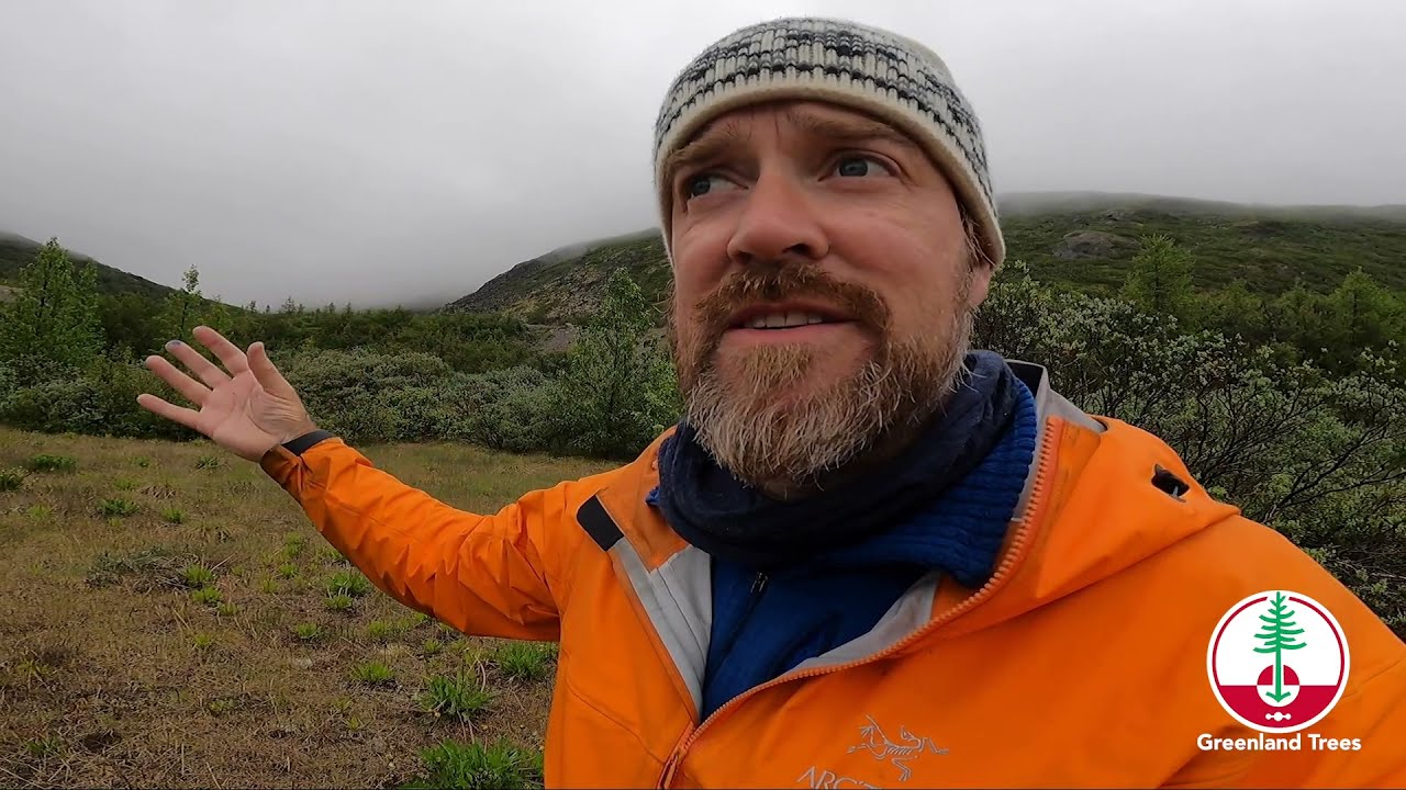 how are the Greenland Trees after two years?