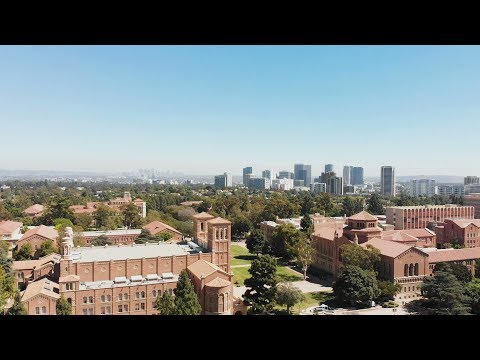 Why UCLA