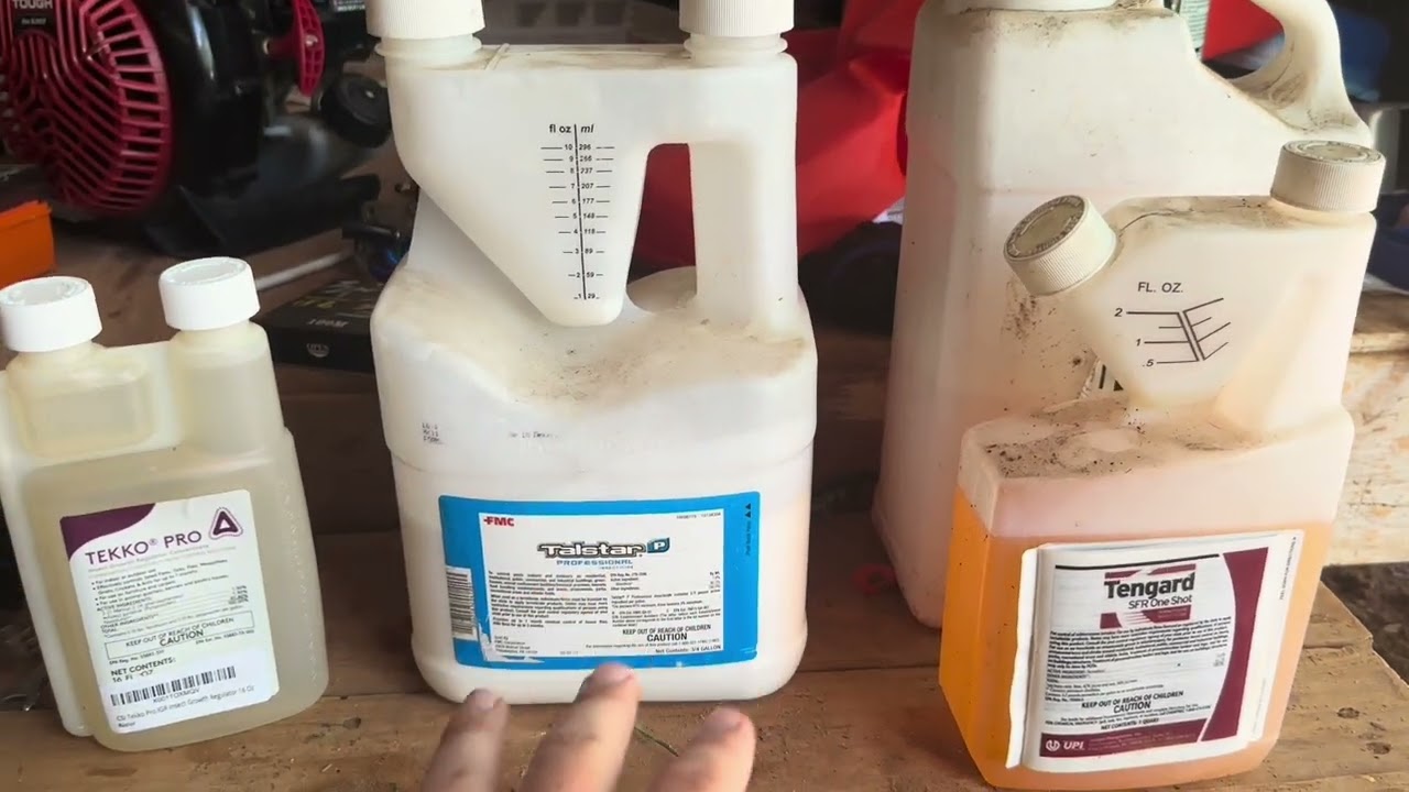 The Best Bug Spray Mix Ever! German Cockroaches, Termites, Scorpions, and More