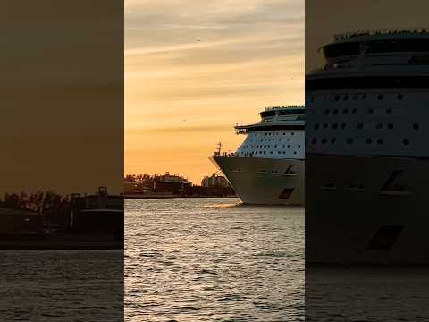 Explorer of the Seas 🛳️ #like #share #comment #subscribe #cruiseship #cruise #vacation #shorts #wow