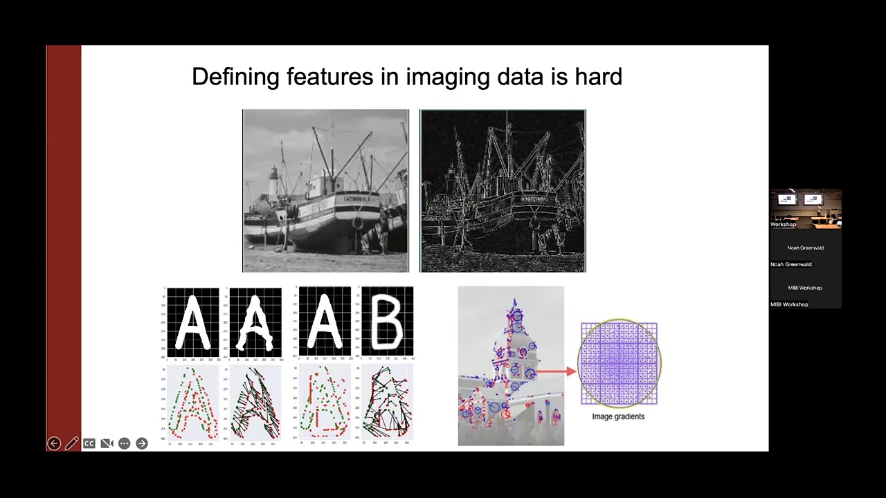 MIBI Workshop Session 5 (Cell-Level Analysis)