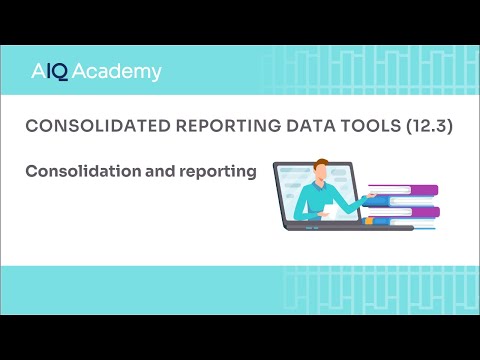 Consolidated Reporting data tools in AccountsIQ