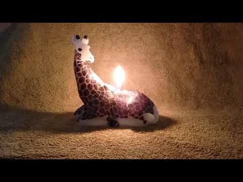Being a giraffe | God and me