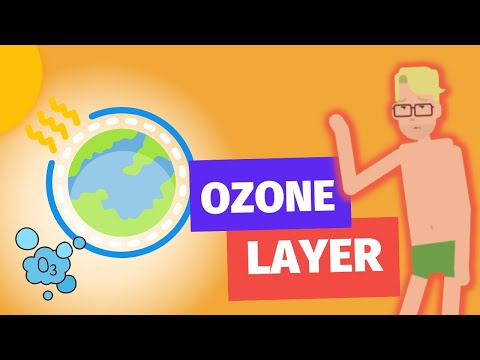 Why is the ozone layer important?
