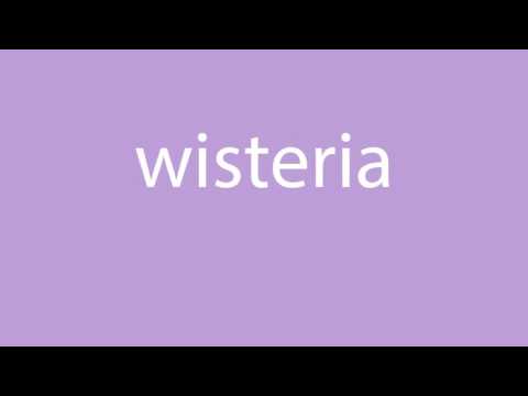 How to pronounce wisteria [all colours]