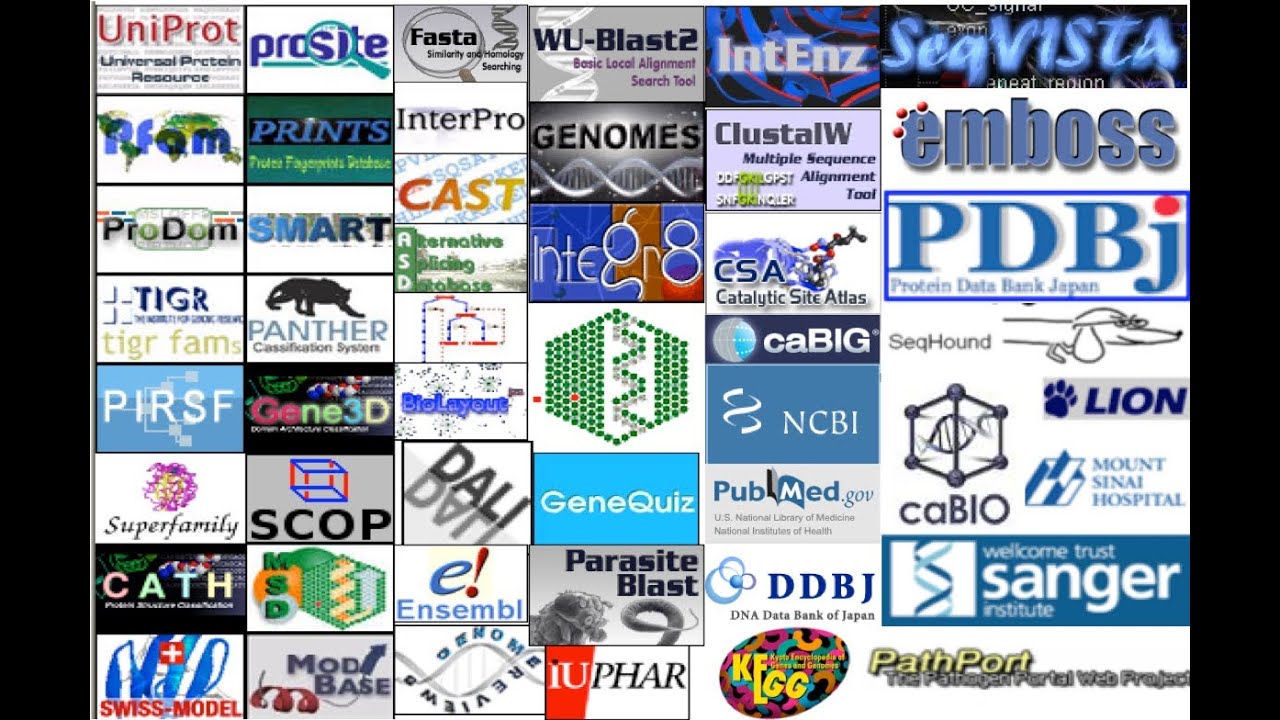 Bioinformatics part 2 Databases (protein and nucleotide)