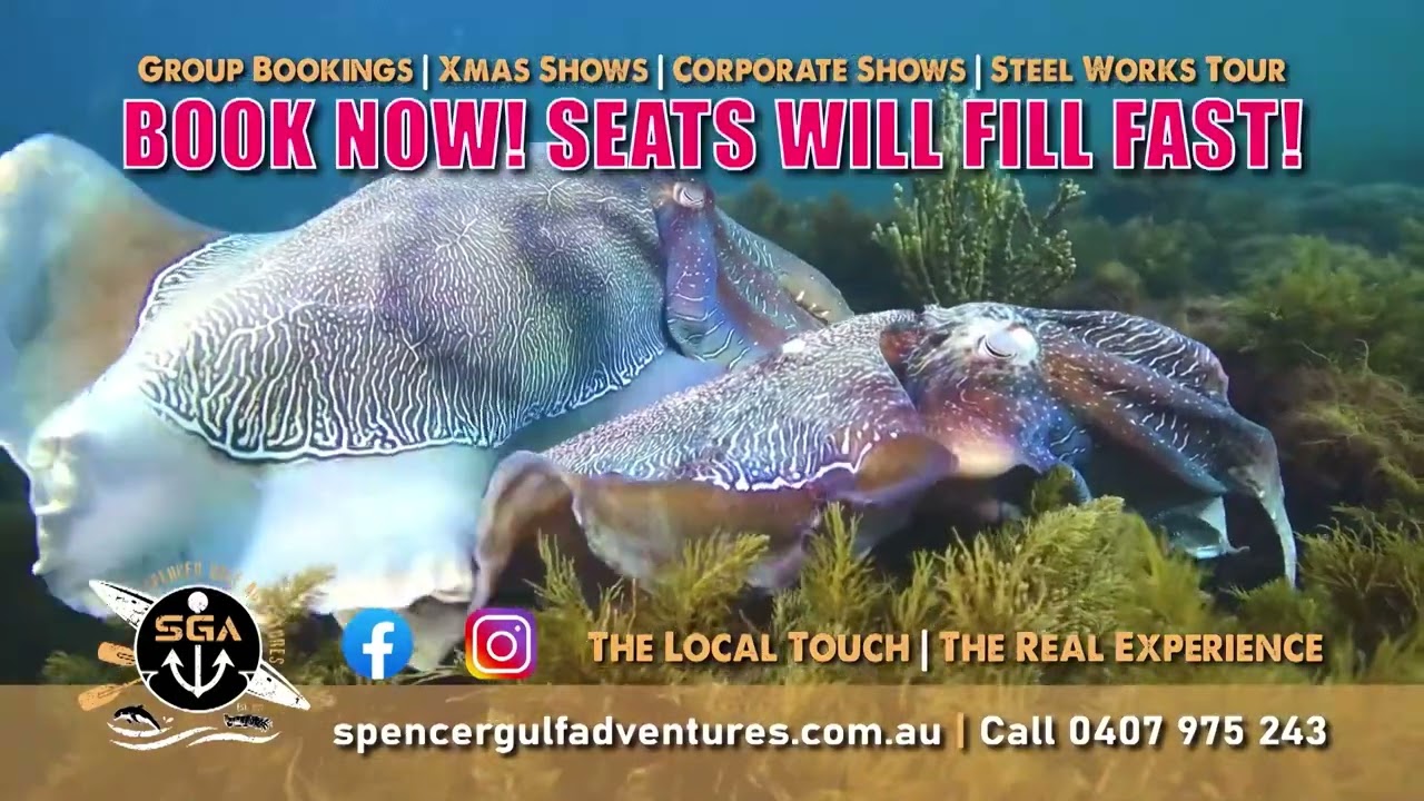 Spencer Gulf Adventures | Cuttlefish & Boat Tours Whyalla