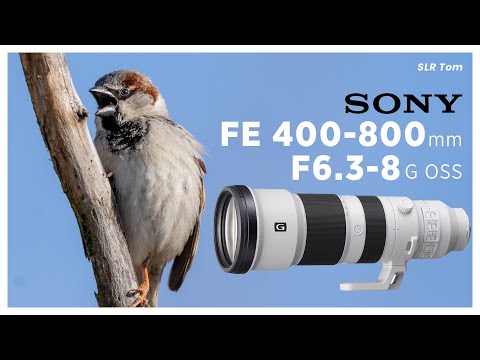 Sony 400-800mm: Incredible value (SEL400800G)