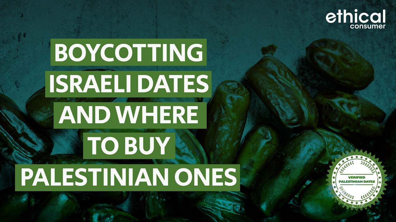 Which brands sell Palestinian dates?