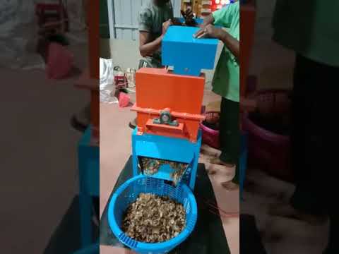 Copra Cutter at Best Price in India