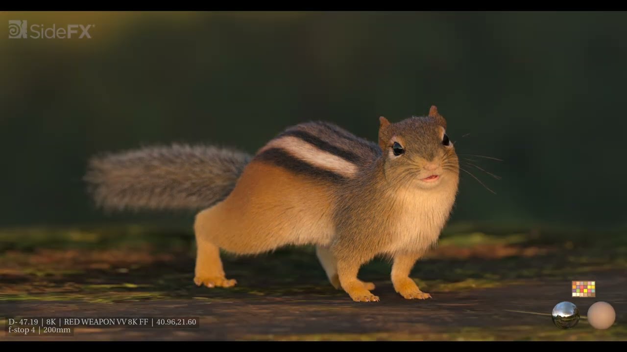 Houdini Fur Lookdev | 15 Presentation Renders