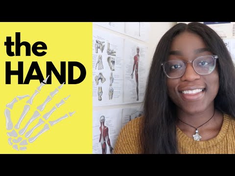 Teach Me Anatomy: the Hand and Wrist