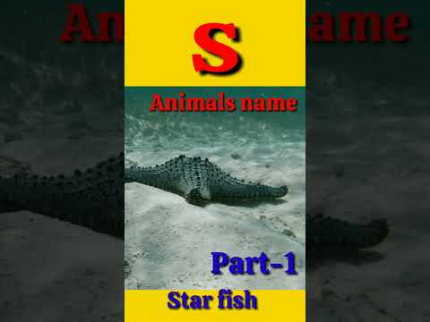 Animals Starting With S - Learn Animal Words That Start With Letters S s 1 #abc #viral #shorts