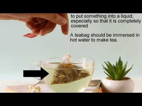 immerse meaning | Vocabulary for Kids | Children's Dictionary | Learn English Vocabulary