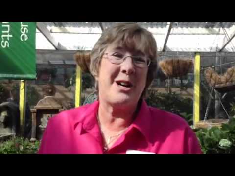 Southern California Garden club will teach you