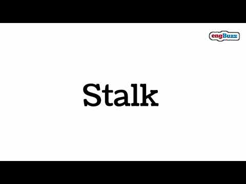 stalk क्या होता है? | meaning of stalk in Hindi | #engbuzz