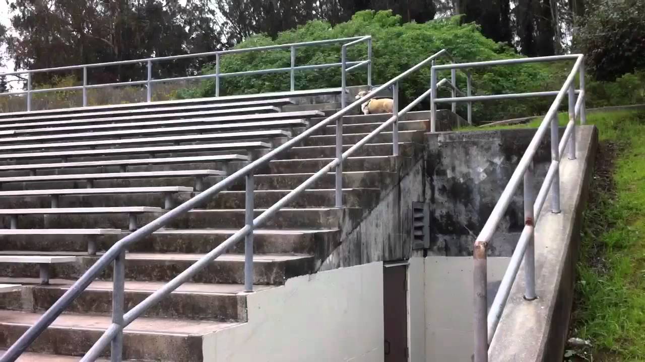 Breakin' More Laws