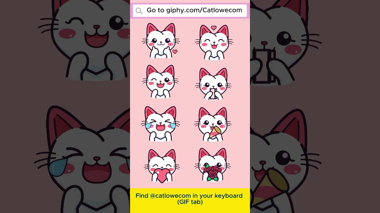 CatLowe GIFs - Use animated cat GIFs 😻 #catgifs #cat
