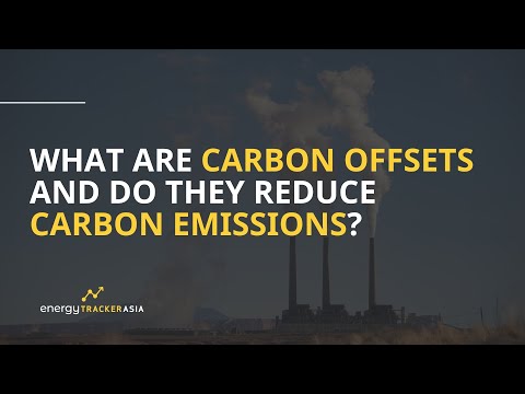 What Are Carbon Offsets and Do Carbon Offsetting Reduce Emissions? Explained
