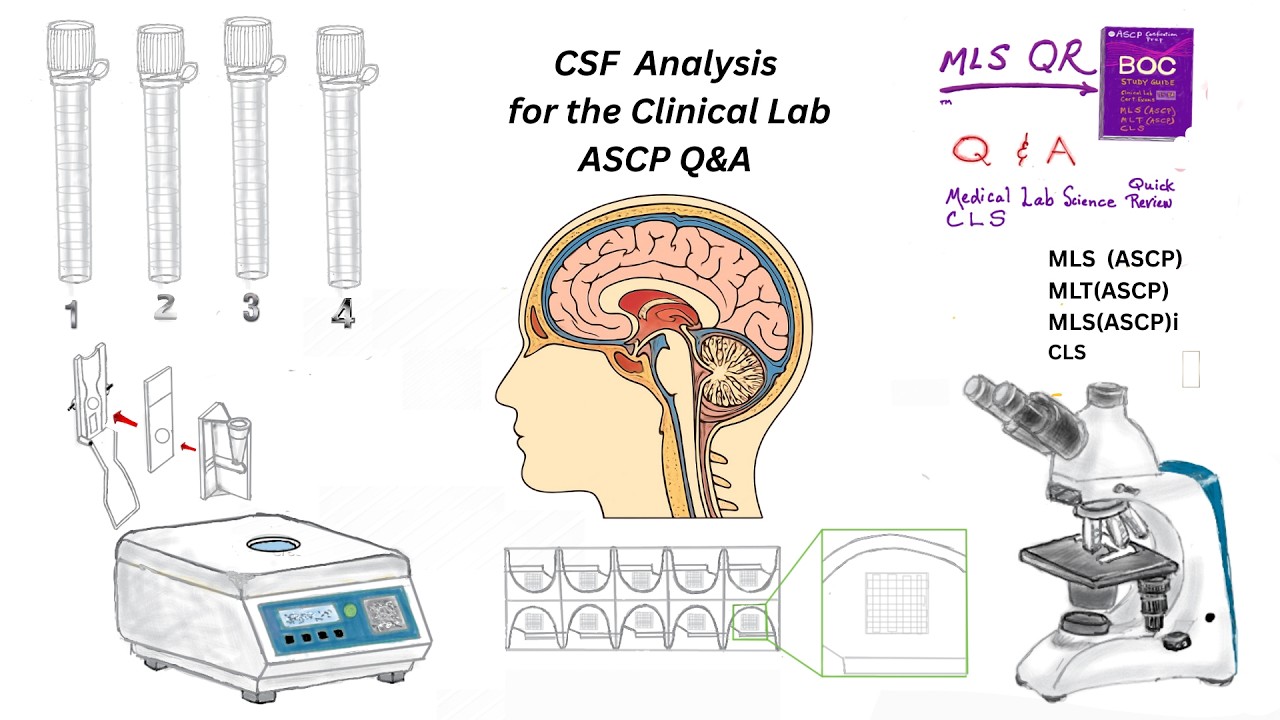 CSF Cell Count, +Diff, & Basic Microscopy, Lab Tests