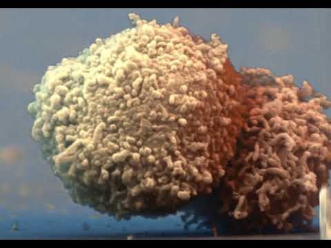 Nanoflight around a T-cell