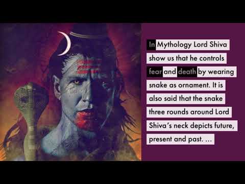 Snake Tattoos Meaning and History