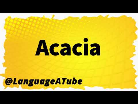 Acacia Pronunciation ⚡️ How To Pronounce Acacia!