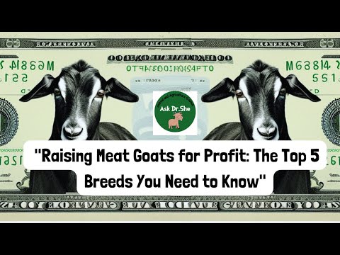 "Raising Meat Goats for Profit: The Top 5 Breeds You Need to Know"