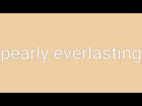 Pearly Everlasting Definition & Meaning