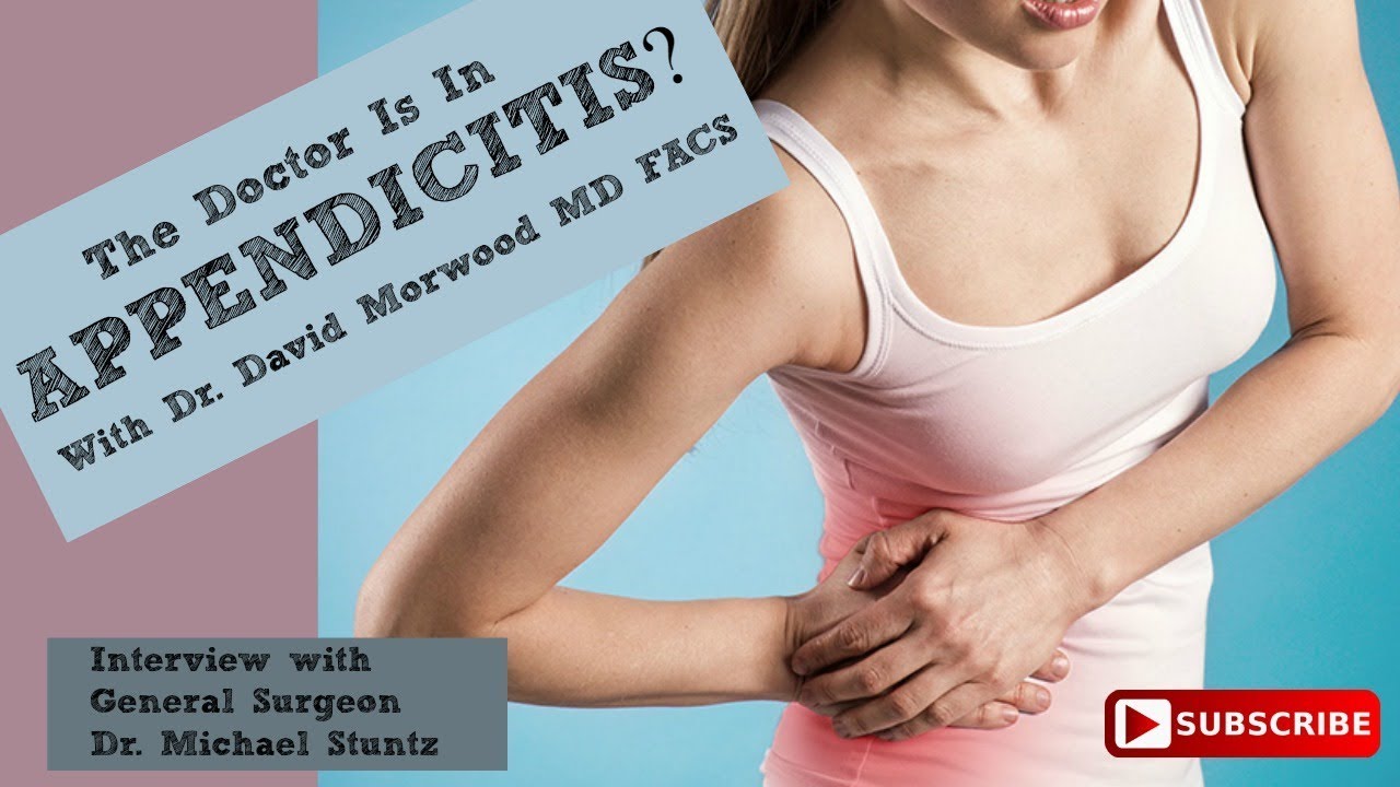 Everything You Need to Know About the Appendix