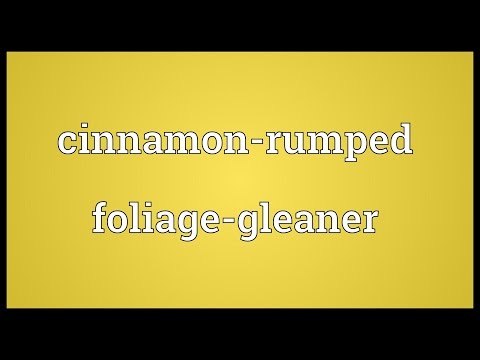 Cinnamon-rumped foliage-gleaner Meaning