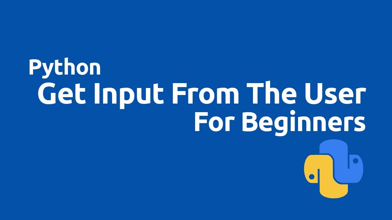 Python Tutorial for Beginners Taking User  Input In Python Command Line Input