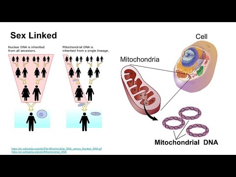 Understanding DNA and DNA Kits