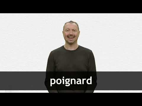 English Translation of “POIGNARD” | Collins French-English Dictionary