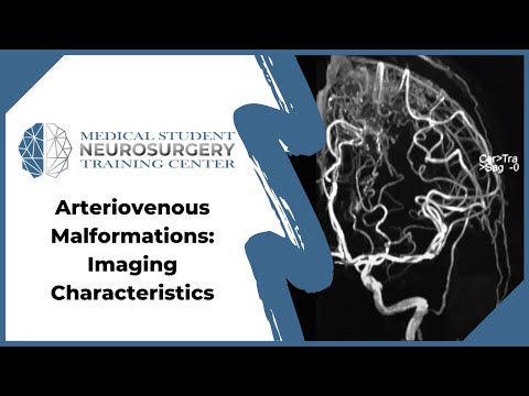 Arteriovenous Malformations: Imaging Characteristics