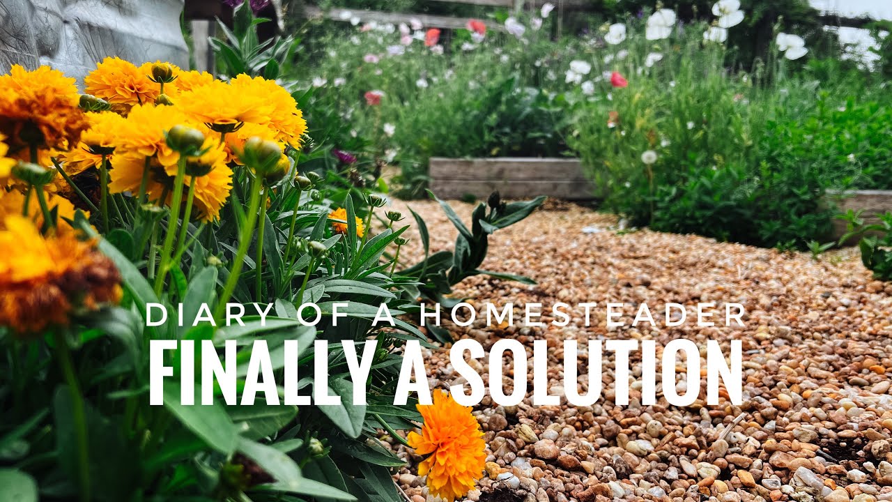 The Secret to Weed-Free Gravel Garden Pathways