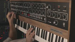 Sequential Circuits Prophet 10 rev 4 - What To Know & Where To Buy ...
