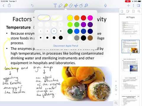 CHEM205 CH6&7 Enzymes Part3