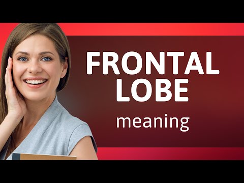 Frontal lobe — FRONTAL LOBE meaning