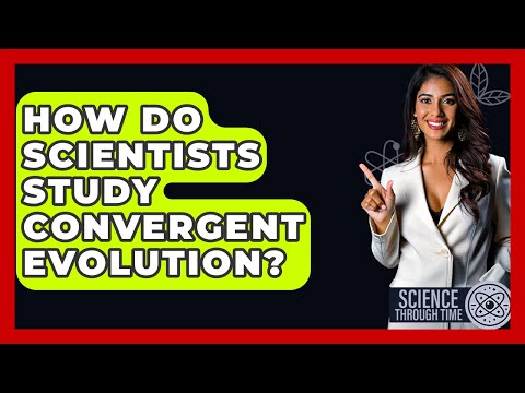 How Do Scientists Study Convergent Evolution? - Science Through Time