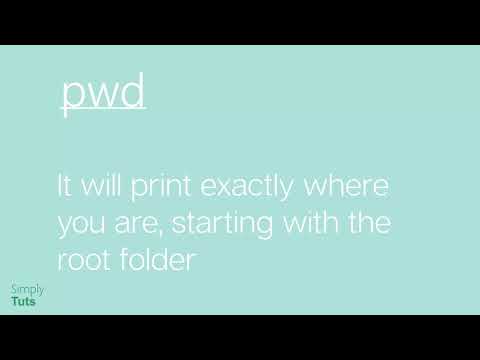pwd command in Linux - path of the current working directory