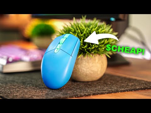 Best CHEAP Wireless Gaming Mouse!