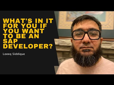 What is SAP? Why is SAP so important? What's in it for you if you become an SAP Developer/Consultant