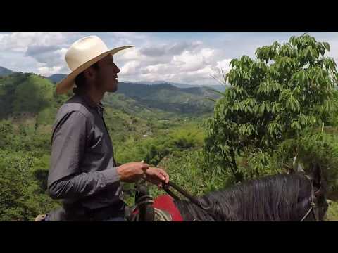 THE COFFEE TRAIL RIDE - COLOMBIA