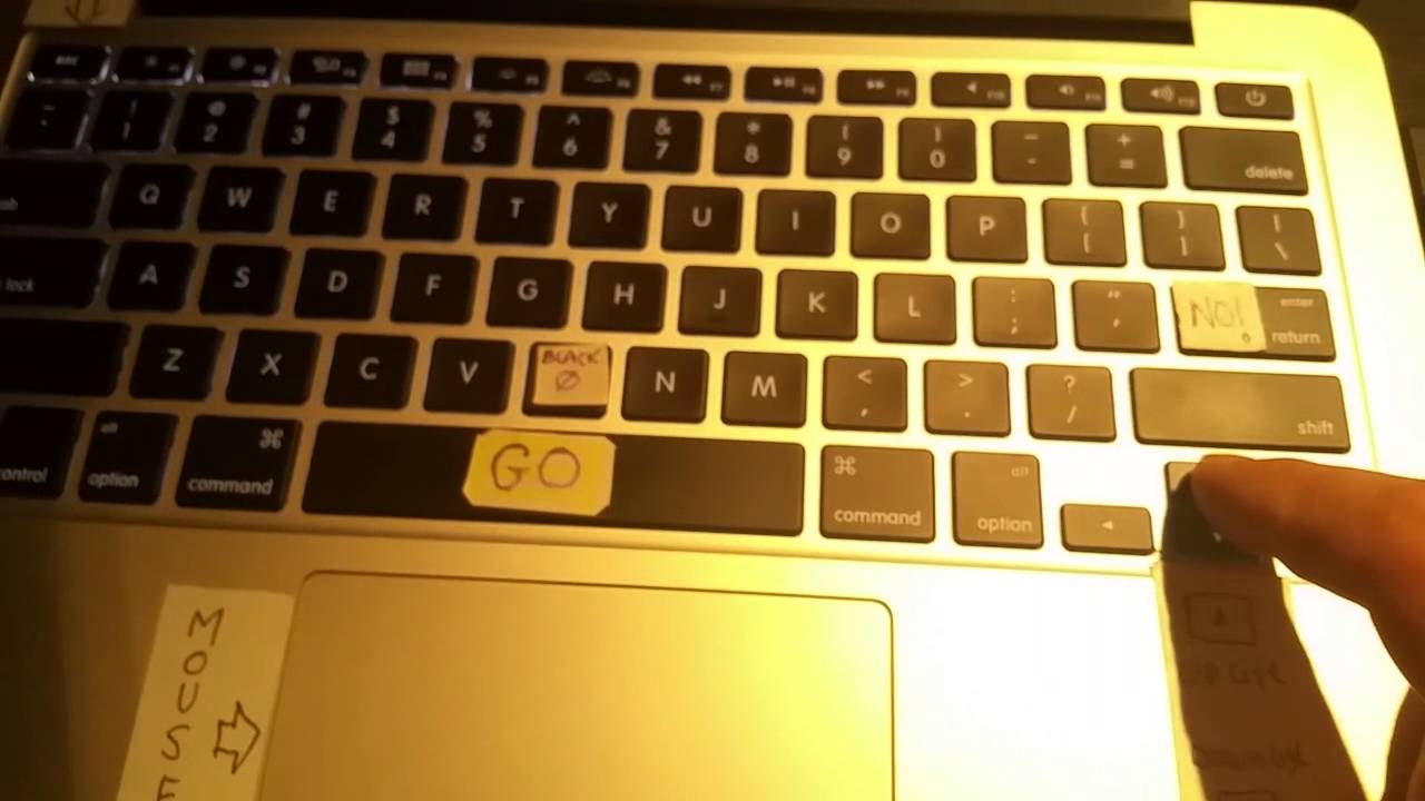 Q-Lab Instructions for running the Projector