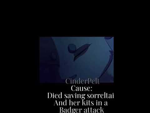 Warrior cat deaths that make fans cry/ not mine