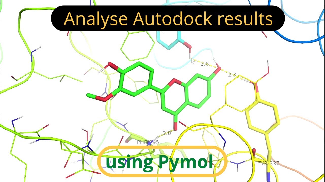 Autodock result protein-ligand interaction analysis using pymol | pymol biomolecules